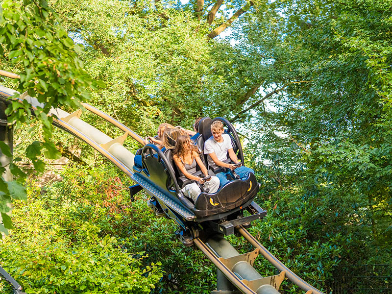 Naga Bay Approchez La Cime Des Arbres De Bobbejaanland
